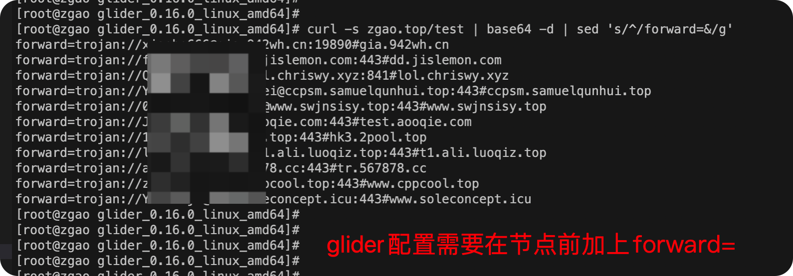 把机场变成你的代理池-Glider | CTTalk 长亭合作伙伴技术社区