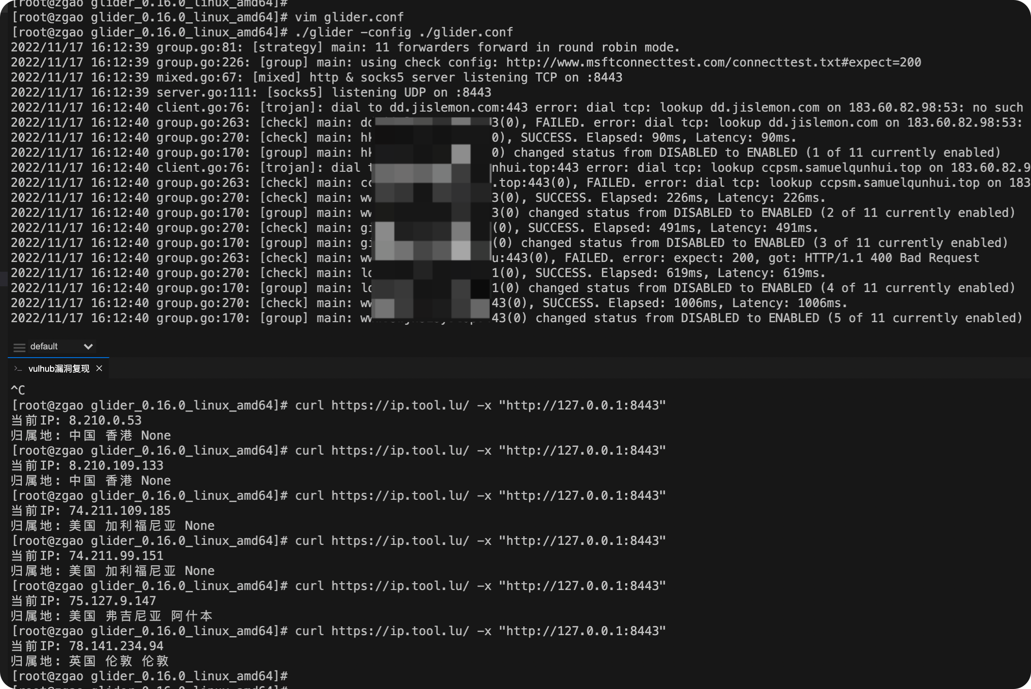 把机场变成你的代理池-Glider | CTTalk 长亭合作伙伴技术社区