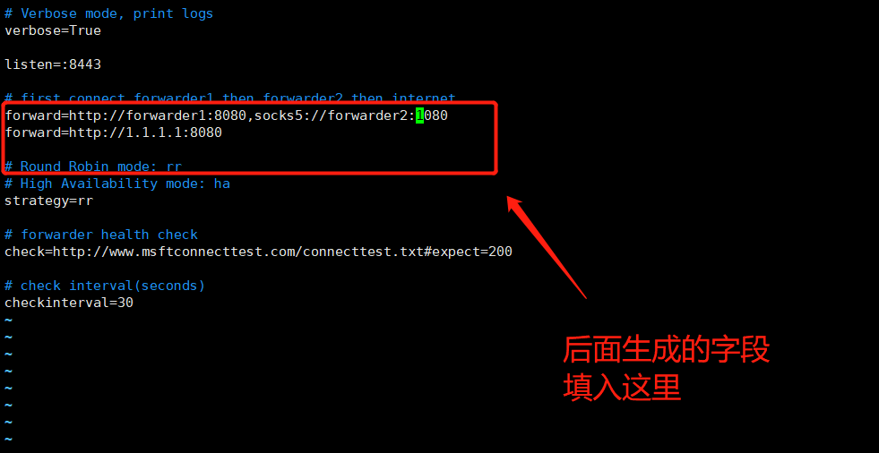 把机场变成你的代理池-Glider | CTTalk 长亭合作伙伴技术社区